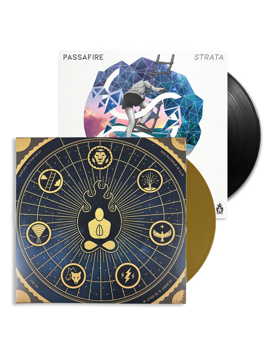 Official Passafire Online Store – Passafire Merch